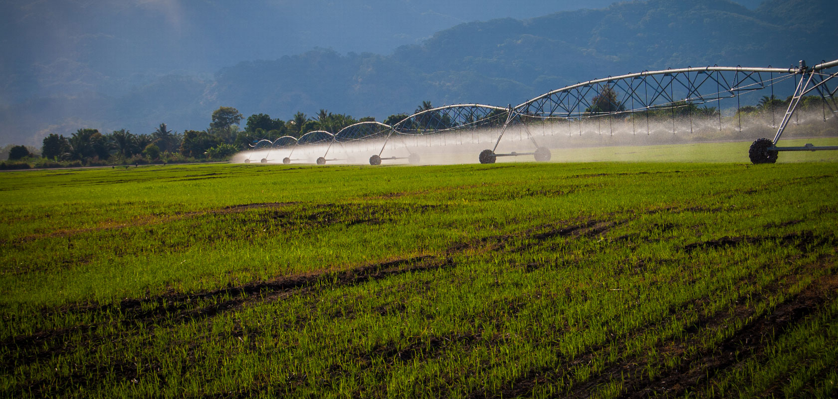 Transforming public sector agriculture interventions in Tanzania - Dalberg Transforming public sector agriculture interventions in Tanzania - Dalberg